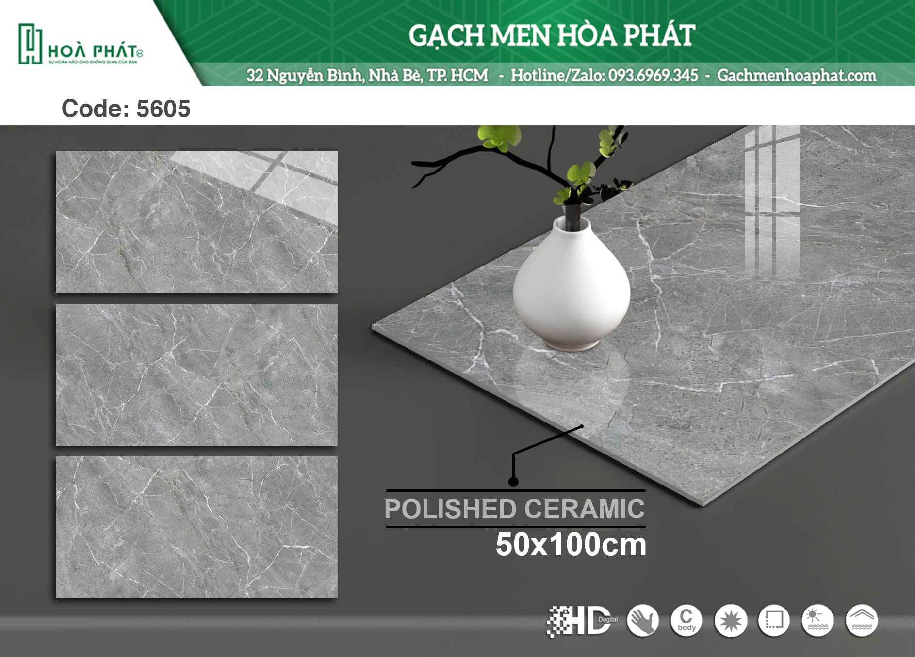 Gạch ốp tường 50x100 Tasa TS 5605 - Gạch men Hoà Phát