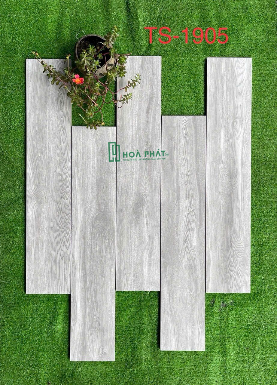 Gạch giả gỗ 15x80 TASA TS 1905 - Gạch men Hoà Phát